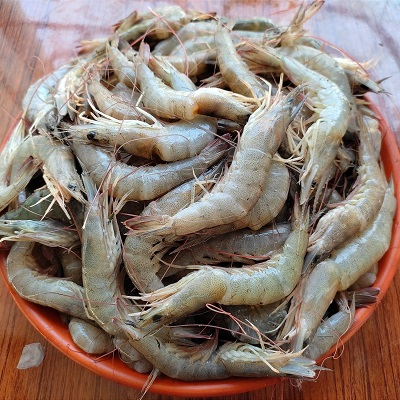 eBasket | grocery